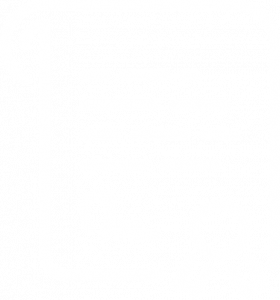 IMPRS-IDI – International Max Planck Research School for Infectious Diseases and Immunology